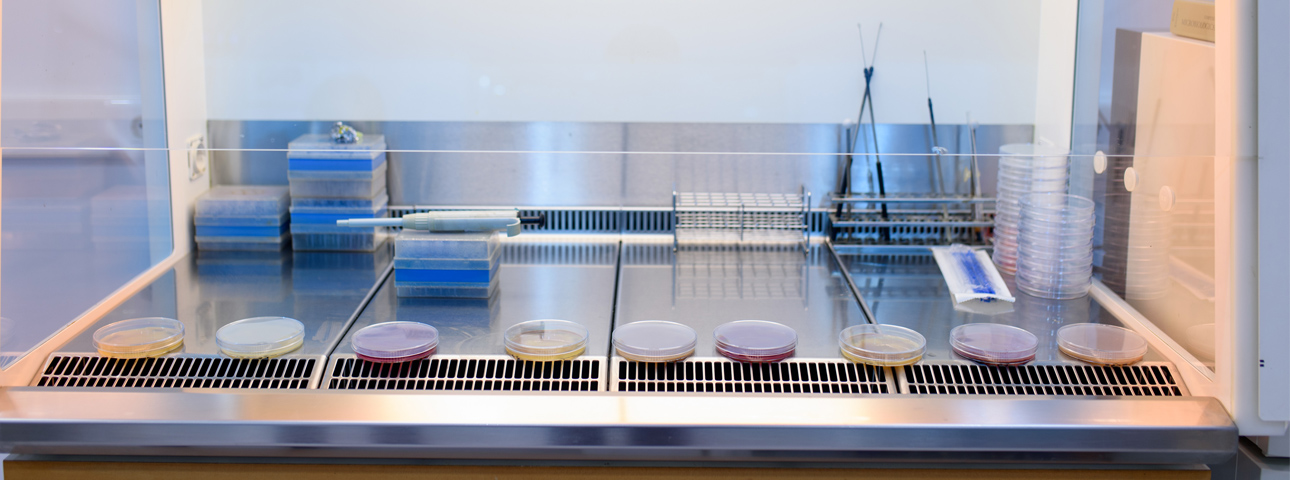 ΜΙΚΡΟΒΙΟΛΟΓΙΚΕΣ ΑΝΑΛΥΣΕΙΣ - ΣΥΓΧΡΟΝΗ ΑΝΑΛΥΤΙΚΗ-ΕΡΓΑΣΤΗΡΙΑ ΑΝΑΛΥΣΕΩΝ