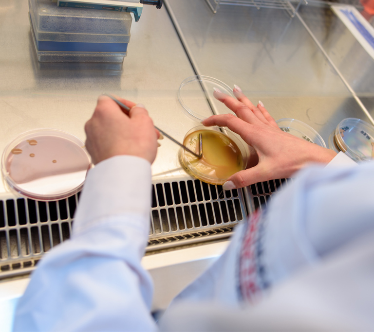 ΜΙΚΡΟΒΙΟΛΟΓΙΚΕΣ ΑΝΑΛΥΣΕΙΣ - ΣΥΓΧΡΟΝΗ ΑΝΑΛΥΤΙΚΗ-ΕΡΓΑΣΤΗΡΙΑ ΑΝΑΛΥΣΕΩΝ