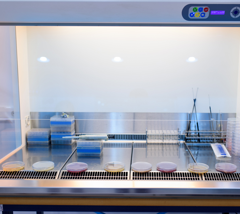 ΜΙΚΡΟΒΙΟΛΟΓΙΚΕΣ ΑΝΑΛΥΣΕΙΣ - ΣΥΓΧΡΟΝΗ ΑΝΑΛΥΤΙΚΗ-ΕΡΓΑΣΤΗΡΙΑ ΑΝΑΛΥΣΕΩΝ